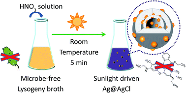 Sustainable synthesis of highly efficient sunlight-driven Ag embedded ...