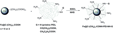Conjugation of polyethylenimine and its derivatives to carbon ...