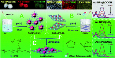 Self-assembly of amine-functionalized gold nanoparticles on phosphonate ...