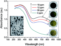 Efficient removal of transition metal ions using poly(amidoxime) ligand ...