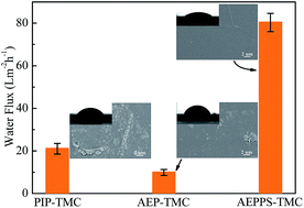Tailoring the structure of polyamide thin film composite membrane with ...