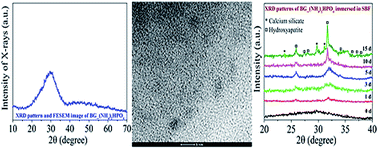 Influence of phosphate precursors on the structure, crystallization behaviour and bioactivity of ...