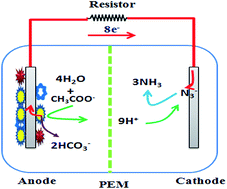 Azide as an oxidant in the cathodic reaction of bioelectrochemical ...