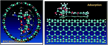 Interaction mechanism of doxorubicin and SWCNT: protonation and ...