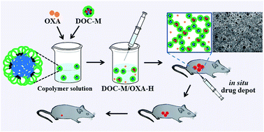 In situ gel-forming dual drug delivery system for synergistic ...