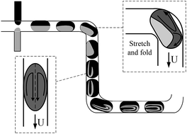 Fluid mixing in droplet-based microfluidics with a serpentine ...