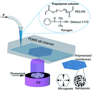 A microfluidic approach for the synthesis and assembly of multi-scale ...