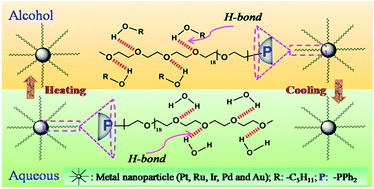 Reversible hydrogen-bond-selective phase transfer directed towards ...