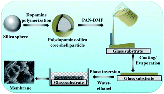 Enhanced hydrophilic and antifouling polyacrylonitrile membrane with ...