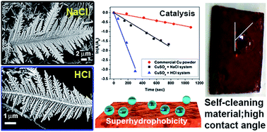Solution chemistry-based nano-structuring of copper dendrites for ...