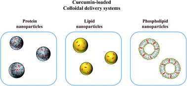Food-grade nanoparticles for encapsulation, protection and delivery of ...