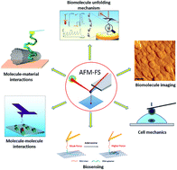 AFM-based force spectroscopy for bioimaging and biosensing - RSC ...