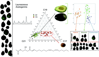 A targeted metabolomics approach to characterize acetogenin profiles in ...