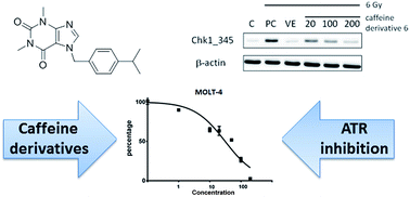 Novel caffeine derivatives with antiproliferative activity - RSC ...