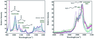 Raman spectroscopic study on the equilibrium of carbon dioxide in ...