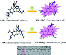 Highly Hg2+-sensitive and selective fluorescent sensors in aqueous ...