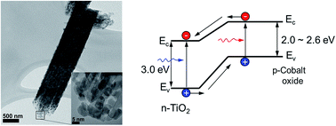 Cobalt oxide nanoparticles on TiO2 nanorod/FTO as a photoanode with ...