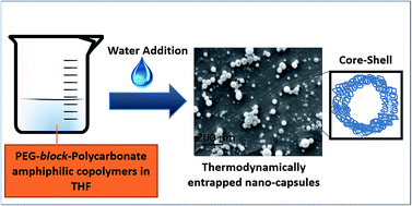 Nano-capsules of amphiphilic poly(ethylene glycol)-block-poly(bisphenol ...