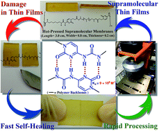 High-efficiency self-healing materials based on supramolecular polymer ...