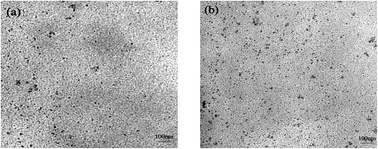 Effects of representative quantum dots on microorganisms and ...