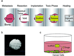 Co-delivery of siRNA and doxorubicin to cancer cells from additively ...