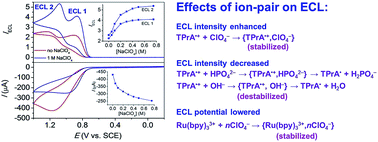 Electrogenerated chemiluminescence of the tris(2,2′-bipyridine ...