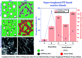 Structure–property relationships in super-toughened polypropylene-based ...