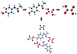 Vibrational analysis and chemical activity of paracetamol–oxalic acid ...