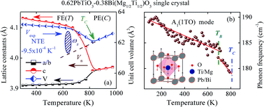 Relationship between negative thermal expansion and lattice dynamics in ...
