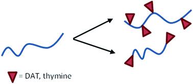 Synthesis and rheological behavior of poly(1,2-butylene oxide) based supramolecular ...