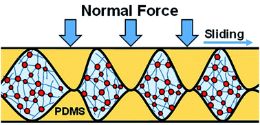 Boundary lubricating properties of hydrophobically modified ...