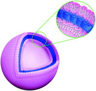 Synthesis of calixarene–polyglycerol conjugates and their self-assembly ...