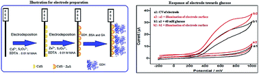 Photoelectrochemical glucose biosensor based on a dehydrogenase enzyme ...