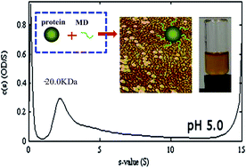 Heat stability improvement of whey protein isolate via glycation with ...