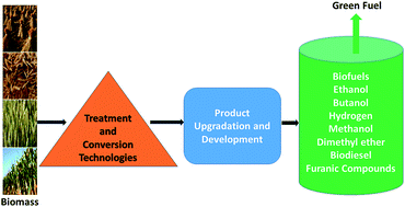 Progress in the production of biomass-to-liquid biofuels to decarbonize ...