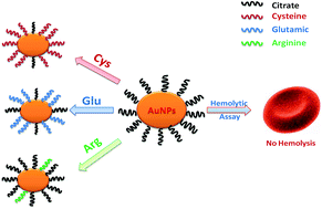 Understanding the mechanism of replacement of citrate from the surface ...