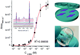 Surface-enhanced Raman spectroscopy on porous silicon membranes ...