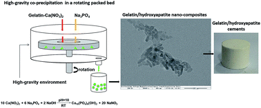 Synthesis of protein/hydroxyapatite nano-composites by a high-gravity ...