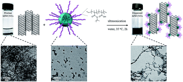 Non-covalent dispersion of multi-walled carbon nanotubes in aqueous ...