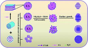 Formation of mesoporous silica nanoparticles with tunable pore ...