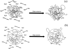 Research on the post-chain extension of aqueous polyurethane ...