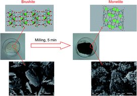 Adsorption of malathion on mesoporous monetite obtained by ...