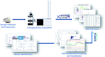 Untargeted metabolomic analysis using LC-TOF/MS and LC-MS/MS for ...