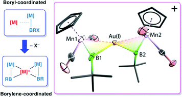 Side-on coordination of boryl and borylene complexes to cationic ...
