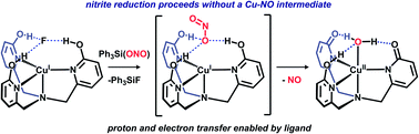 Nitrite reduction by copper through ligand-mediated proton and electron ...
