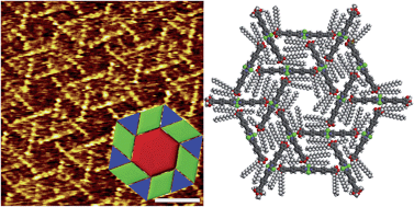 Concentration-dependent rhombitrihexagonal tiling patterns at the ...