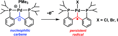Palladium carbene complexes as persistent radicals - Chemical Science ...