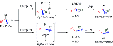 Organometallic Reactions Molecule Activation Via The Classical