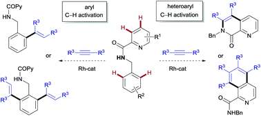 RhI/RhIII catalyst-controlled divergent aryl/heteroaryl C–H bond ...