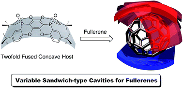 Twofold fused concave hosts containing two phosphorus atoms: modules for the sandwich-type ...